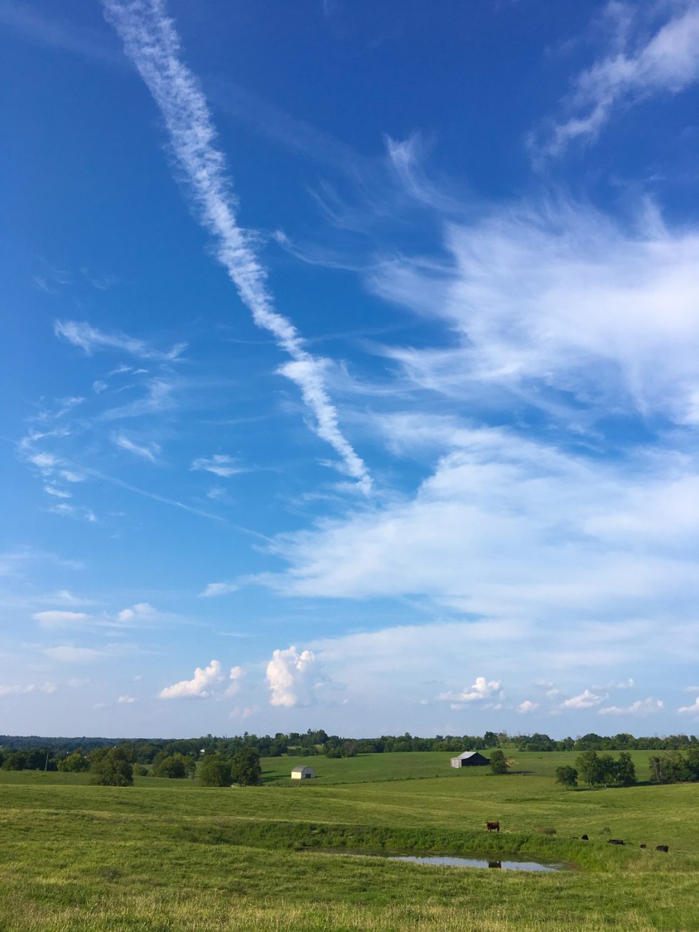 About Us - The Berry Center