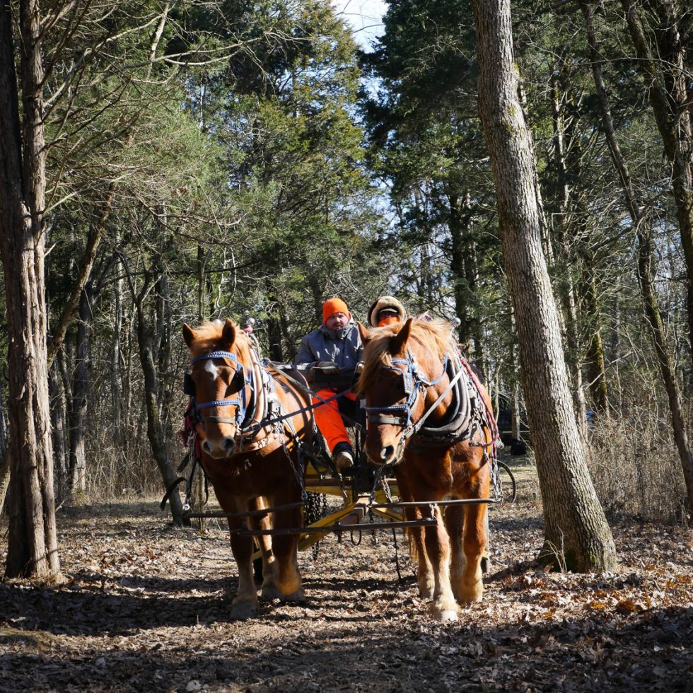 Home - The Berry Center