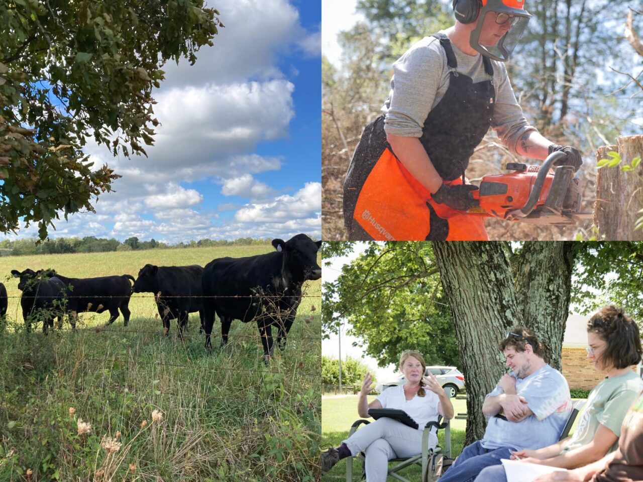The Berry Center Farm And Forest Institute - The Berry Center